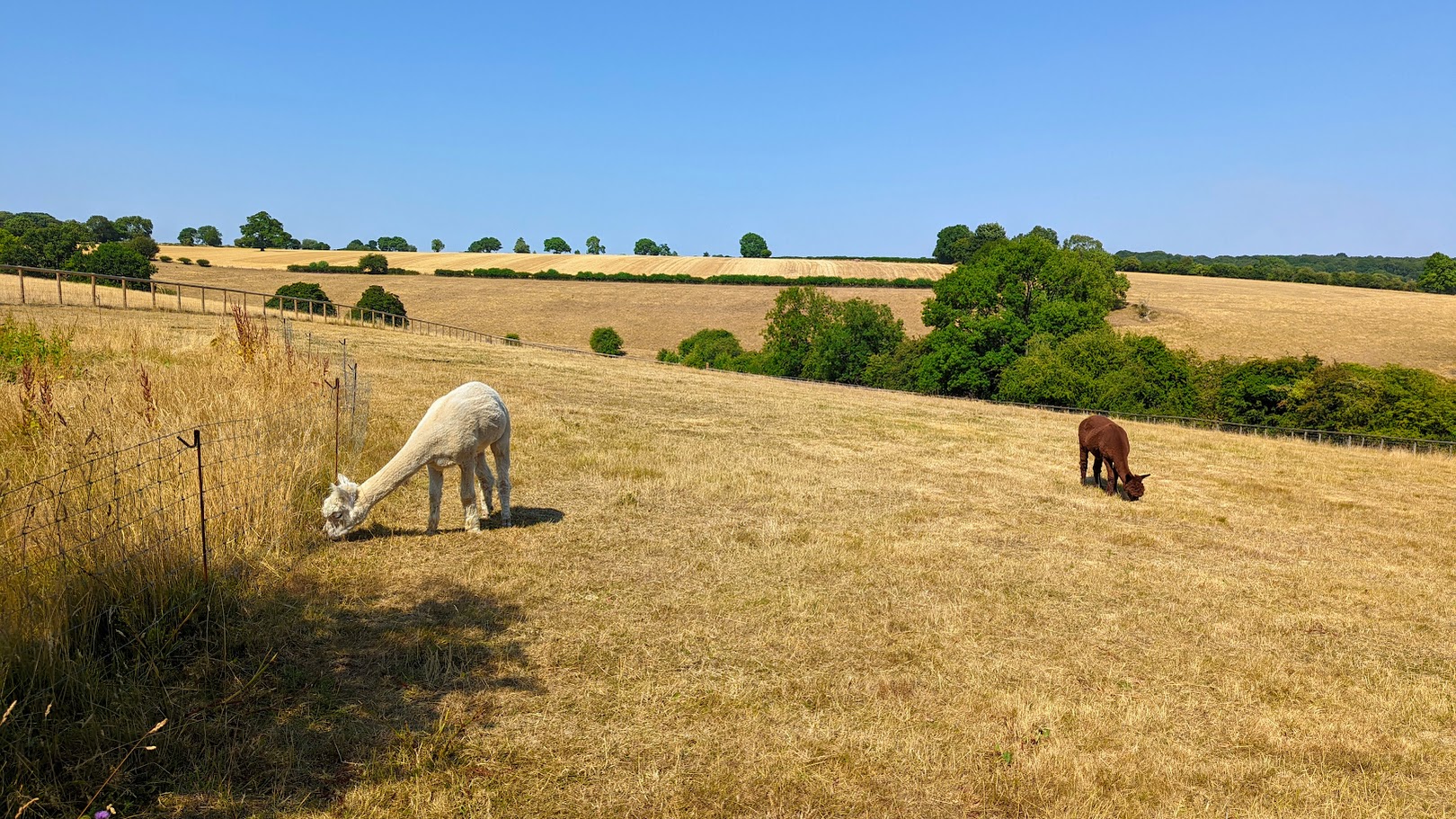 UK summer weather forecast