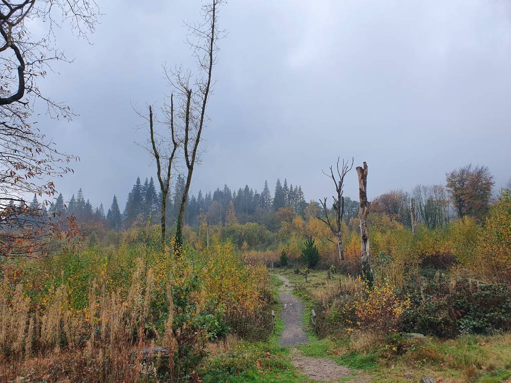 Weather Image Gallery | TheWeatherOutlook