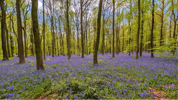 Showers today but mostly settled this week